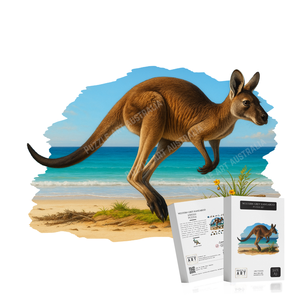 Western Grey Kangaroo – Puzzle Art Australia